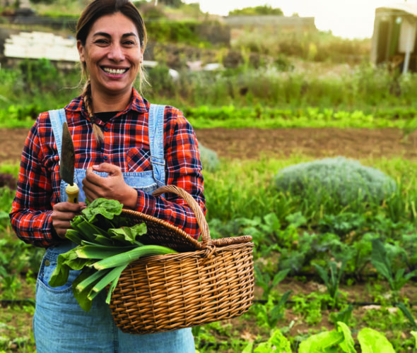 Seek Out Small Farms and Buy Direct from Farmers - Grit